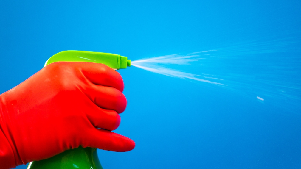 Wise Disk Cleaner: Review – und Wise Disk Cleaner vs. BleachBit ...