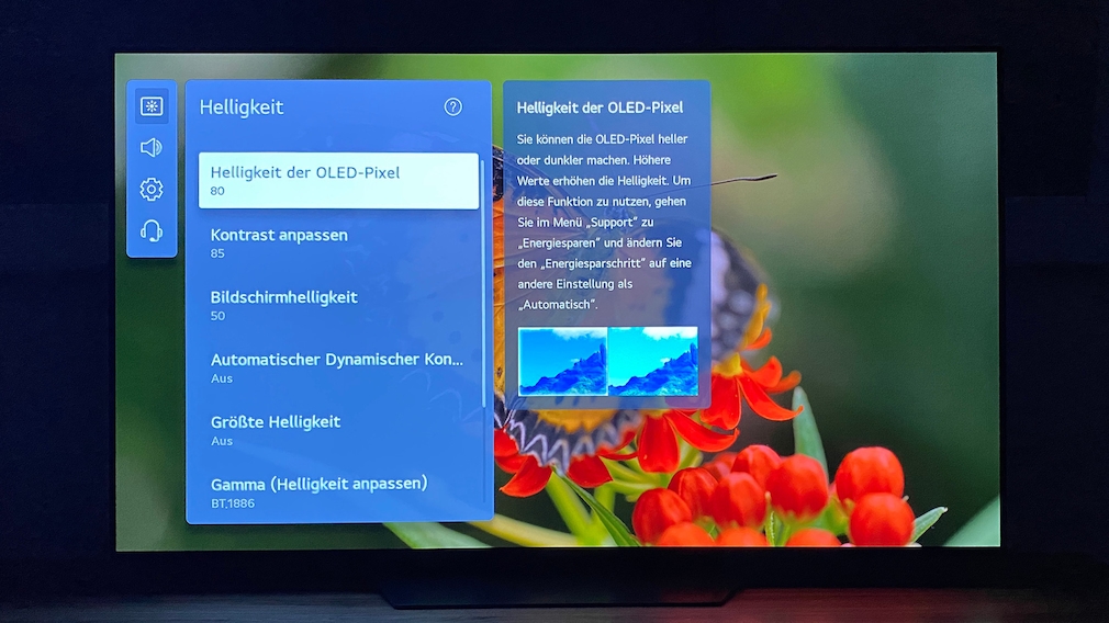 lg oled logo helligkeit einstellen