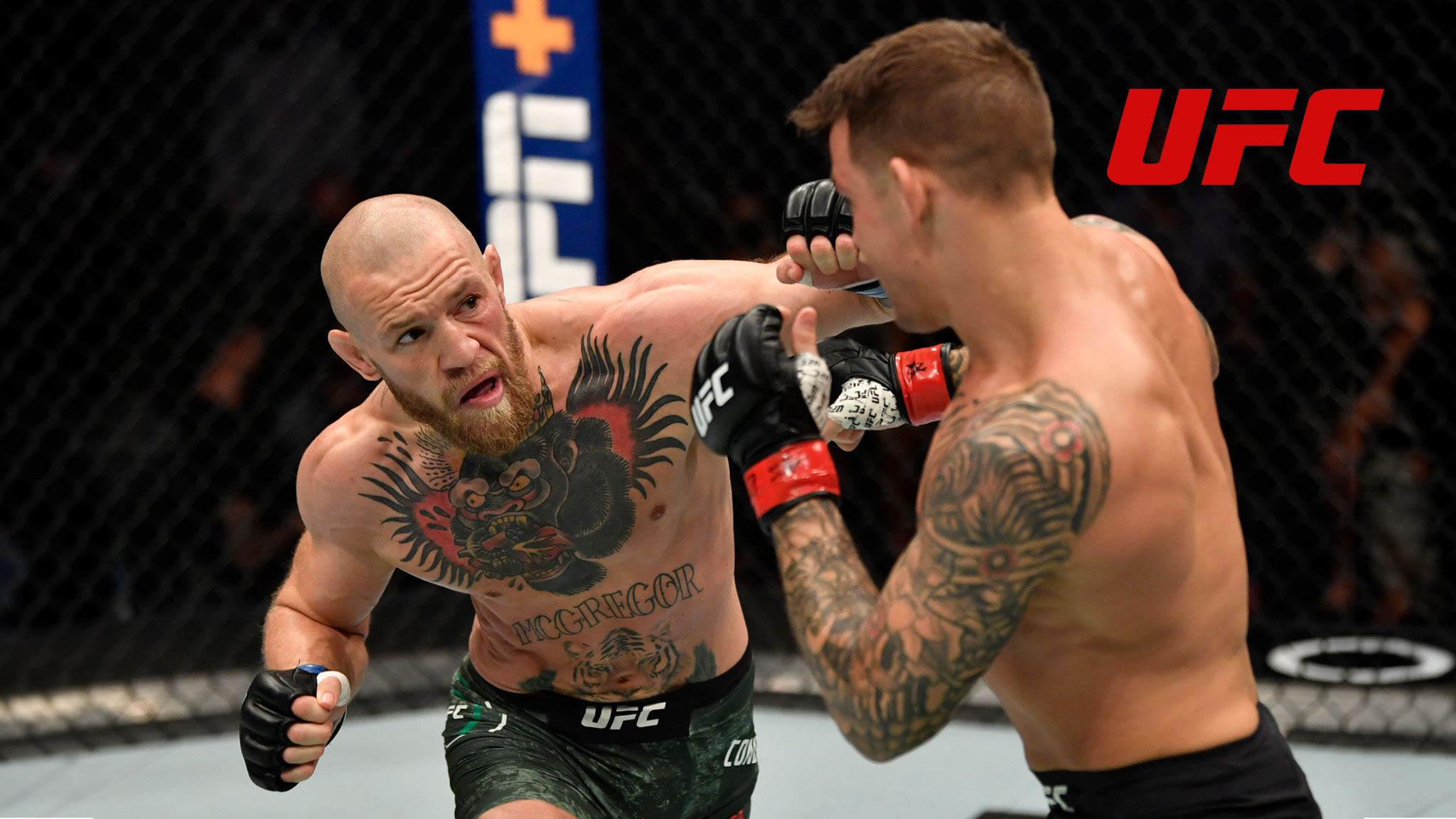 UFC im Live-Stream: So sehen Sie alle Kämpfe - COMPUTER BILD