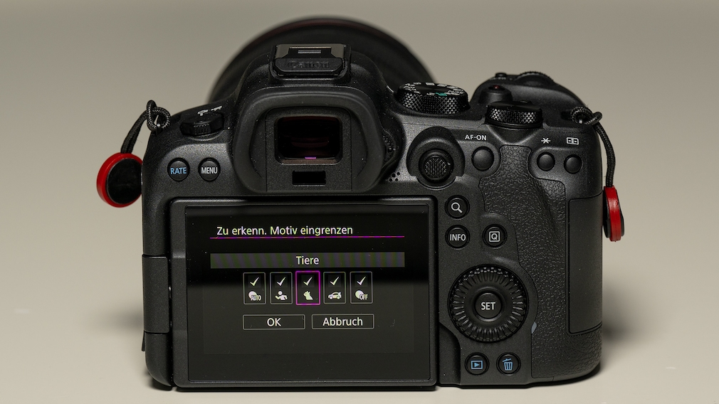 Test Canon EOS R6 Mark II: Top-Aufnahmen bei jedem Licht - COMPUTER BILD