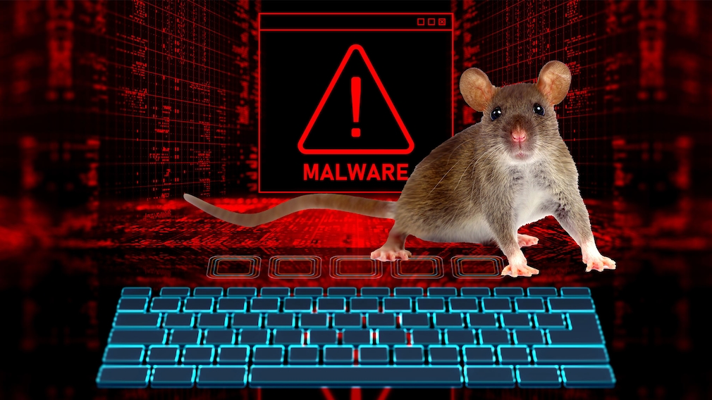 HotRat: Unsichtbare Malware übernimmt heimlich PCs - COMPUTER BILD