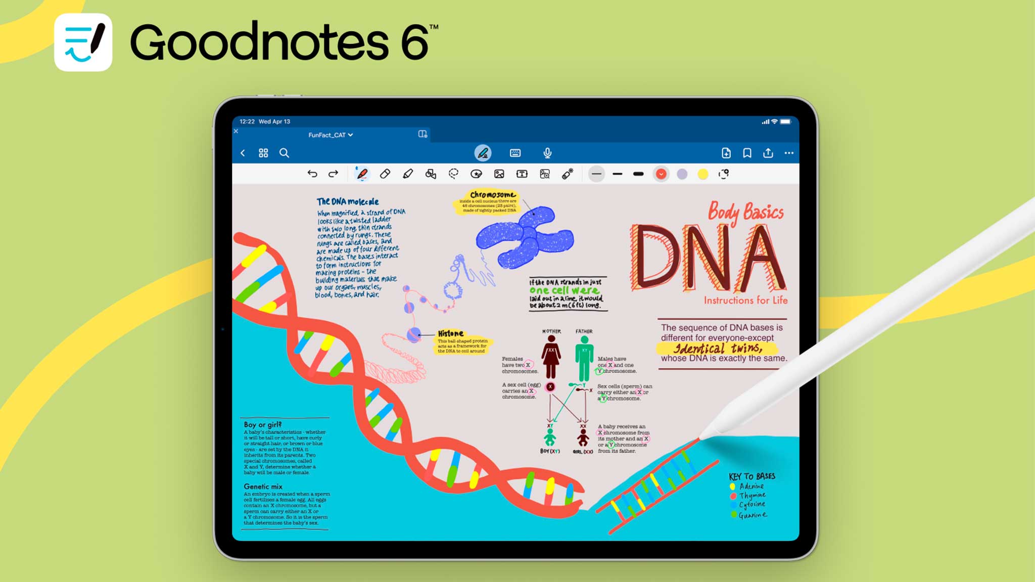 Goodnotes 6 Ausprobiert Was Bringt KI In Einer Notizen App COMPUTER 