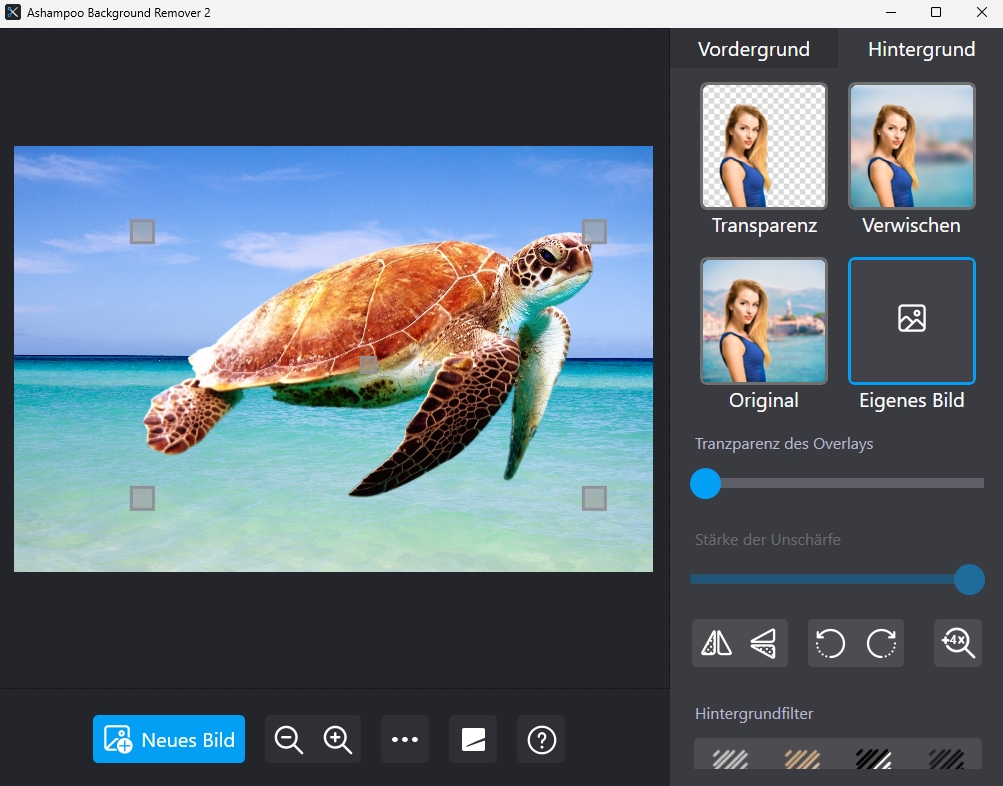 Ashampoo Background Remover 2 – Kostenlose Vollversion - Download ...