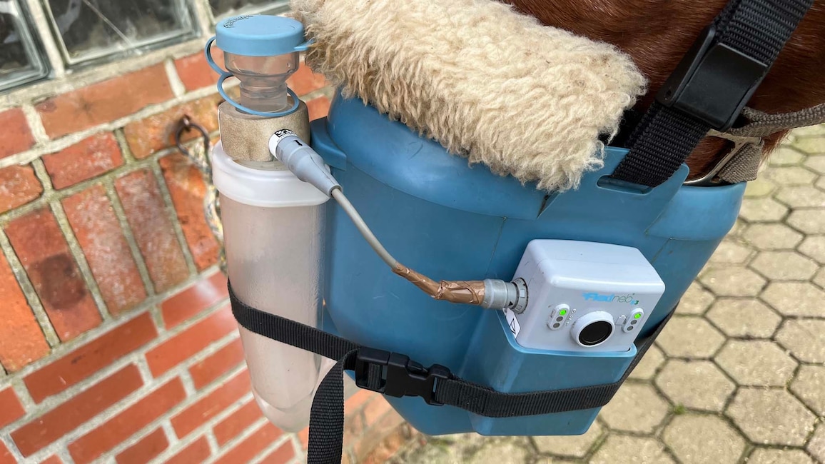 Flexineb E3 für Pferde: Erfahrungen mit dem Inhalator - COMPUTER BILD