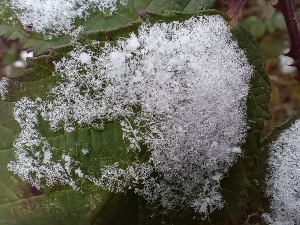 Xiaomi Poco C65 im Test: Smartphone-Schnäppchen um 100 Euro - COMPUTER BILD