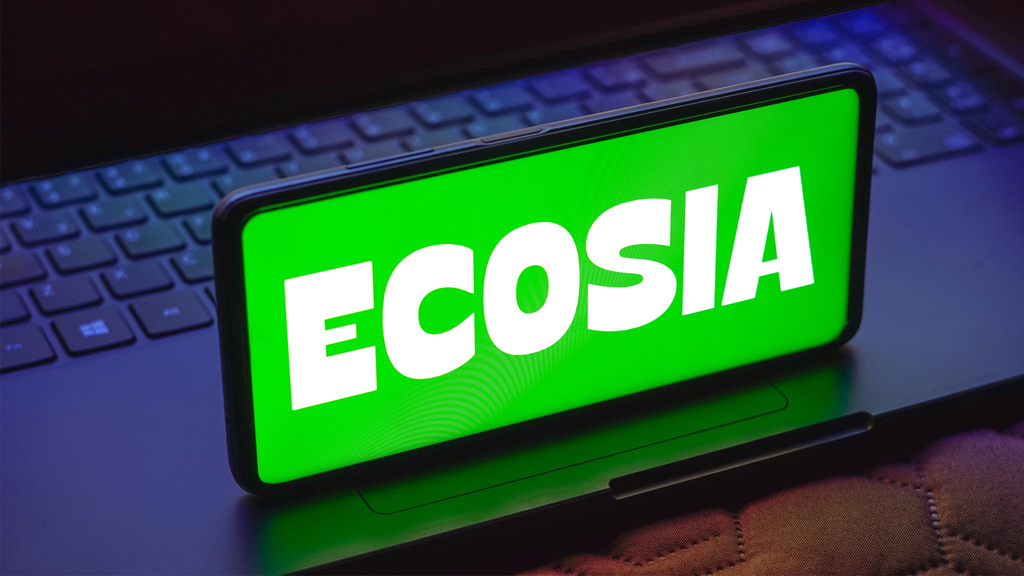 Ecosia AI Chat: Chatbot auf ChatGPT-Basis antwortet nachhaltig ...