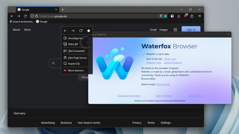 Unbekannte Browser: Forks und Alternativen zu Firefox & Co. - COMPUTER BILD