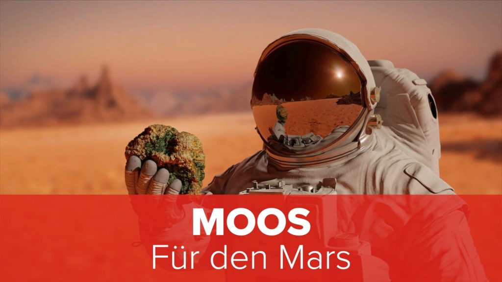 Moos: Für den Mars - COMPUTER BILD