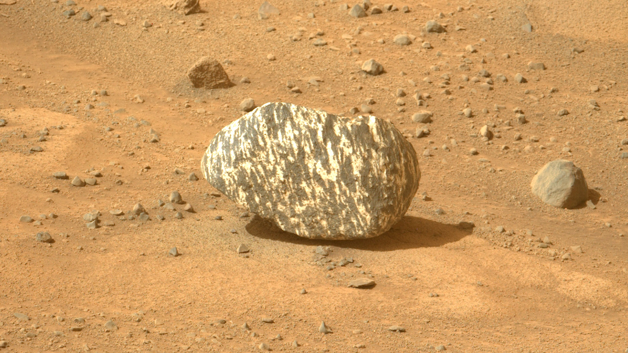 Perseverance: Zebra-Stein auf dem Mars entdeckt - COMPUTER BILD