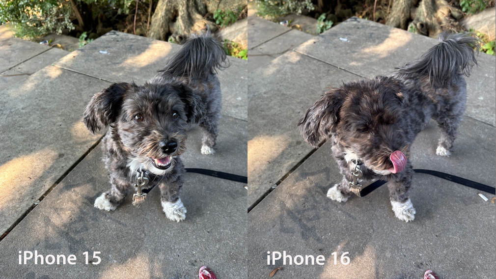 iPhone 15 oder iPhone 16? Der Test-Vergleich - COMPUTER BILD