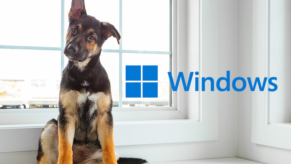 Windows: Watchdog – Definition und Tipps zum Troubleshooting - COMPUTER ...