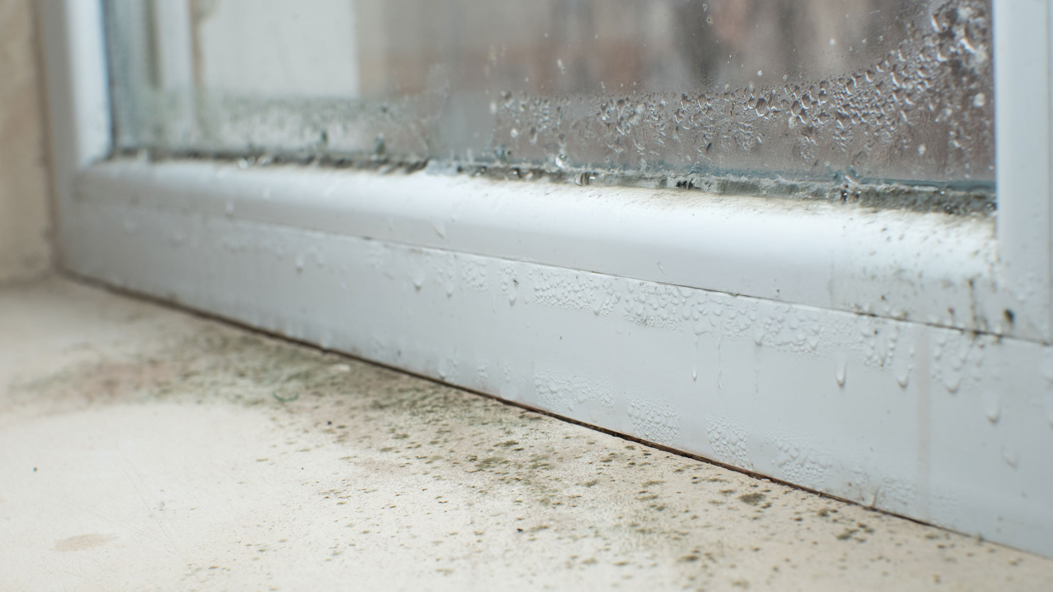 Achtung Schimmel: Warum richtig heizen und lüften so wichtig ist ...