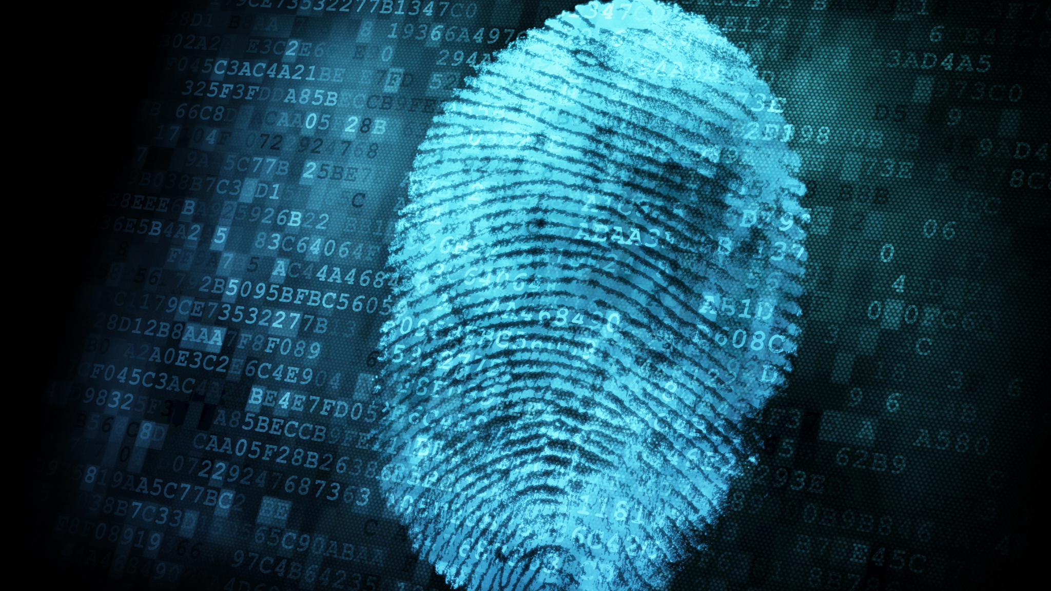 OSForensics: Tutorial – Windows/PC analysieren - COMPUTER BILD