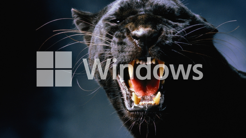Windows: Panther-Ordner – was steckt dahinter? - COMPUTER BILD