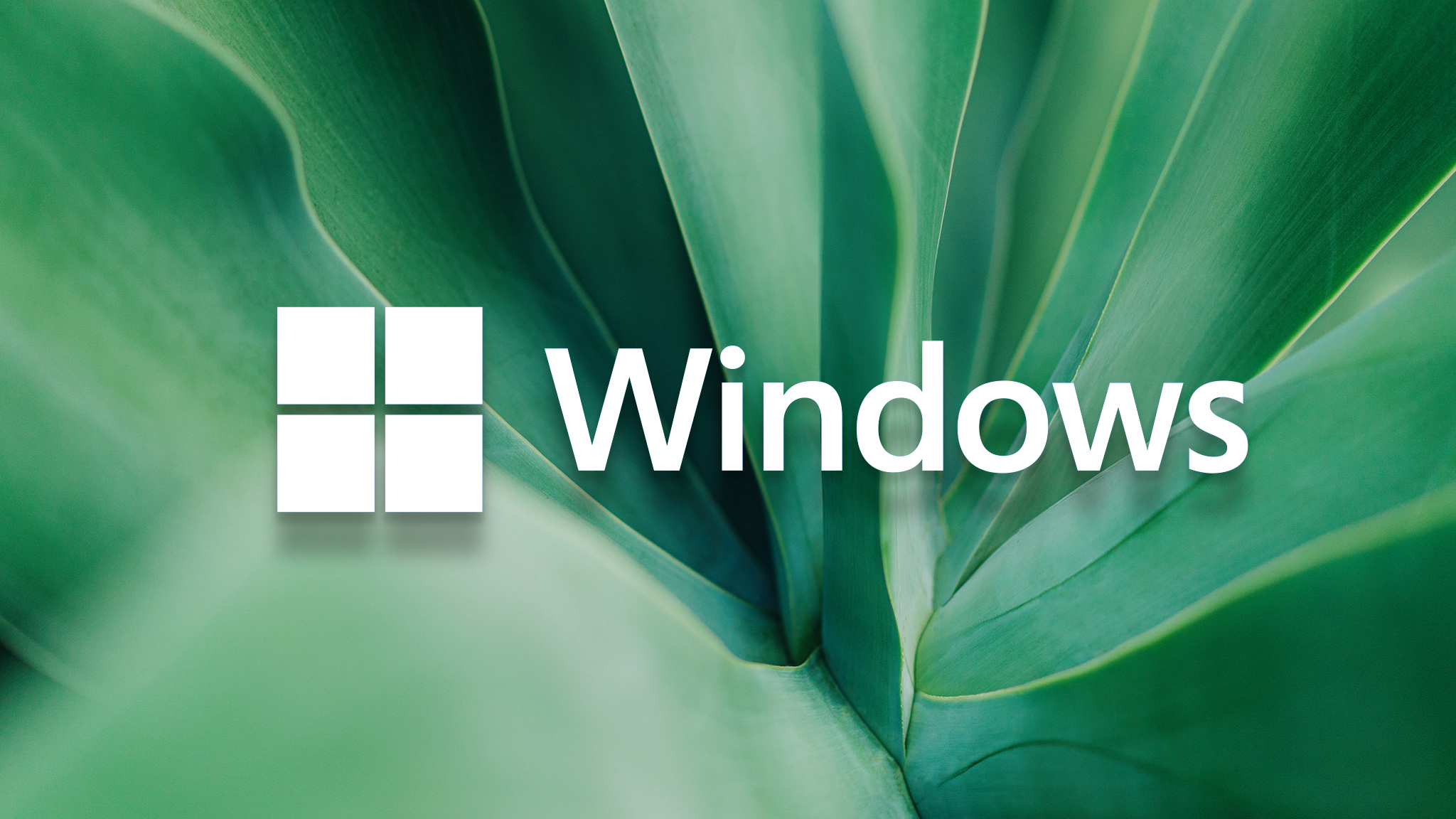 Flyoobe: Tool installiert und optimiert Win11 Schritt für Schritt ...