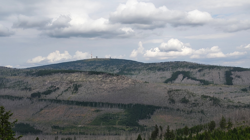 Motorola Edge 60 Pro Test: Starke Mittelklasse mit flottem Laden ...