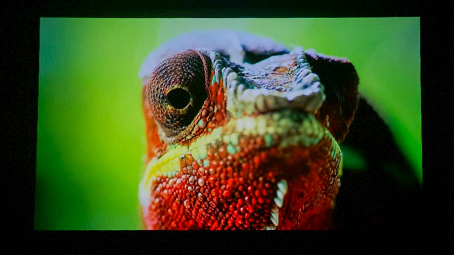 Beamer mit Autofokus: Wichtige Funktion für scharfes Bild erklärt ...