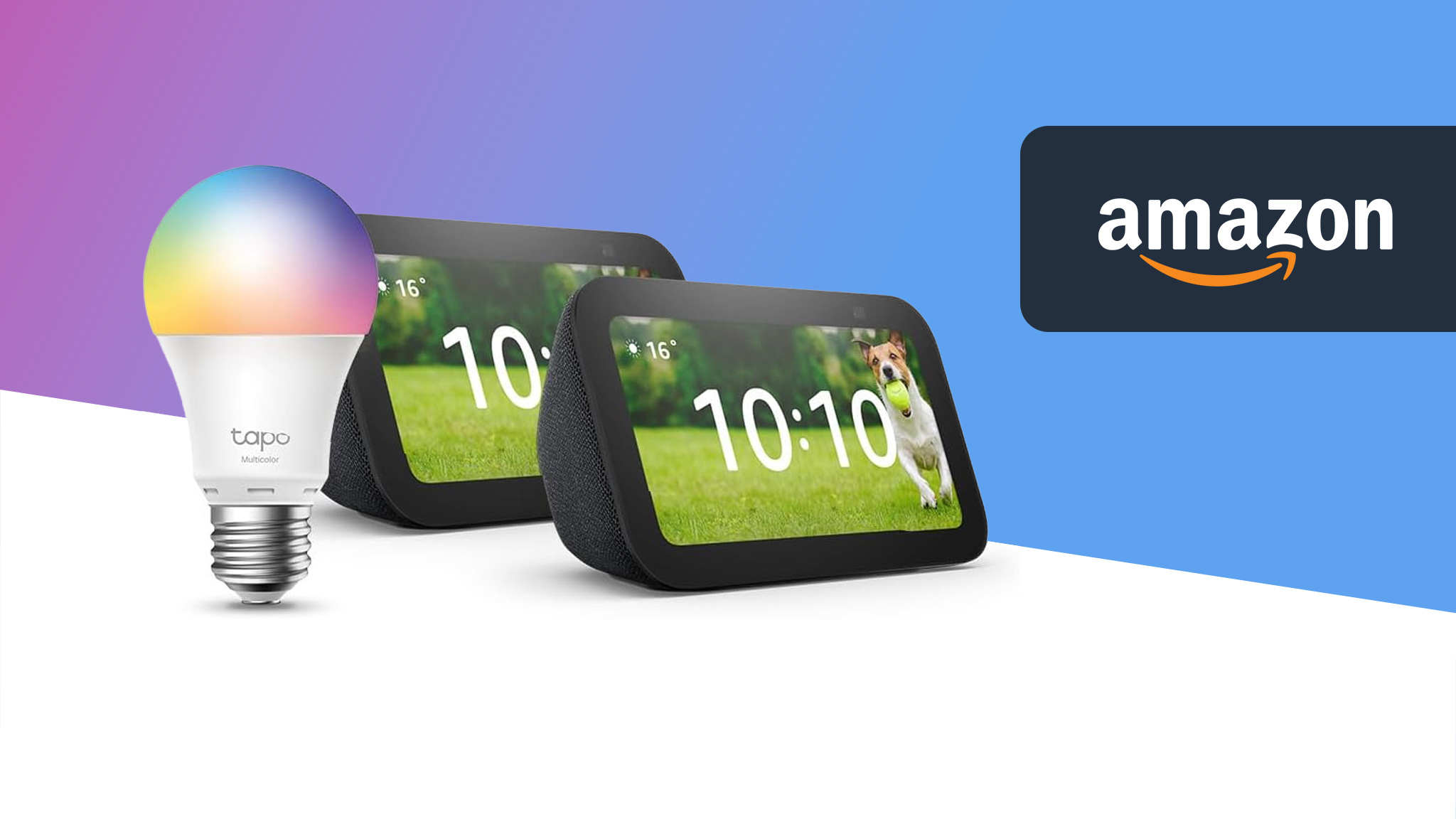 Amazon-Bundle-Deal: Zwei Echo Show 5 mit Tapo Smart Bulb - COMPUTER BILD