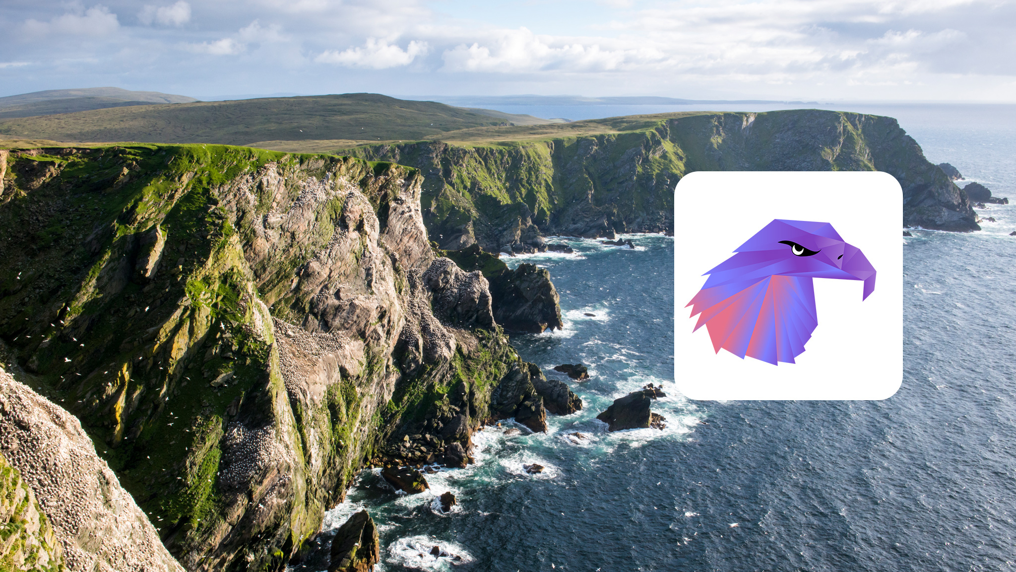 Garuda Linux: Review – dieses OS ist durch und durch schnell - COMPUTER ...