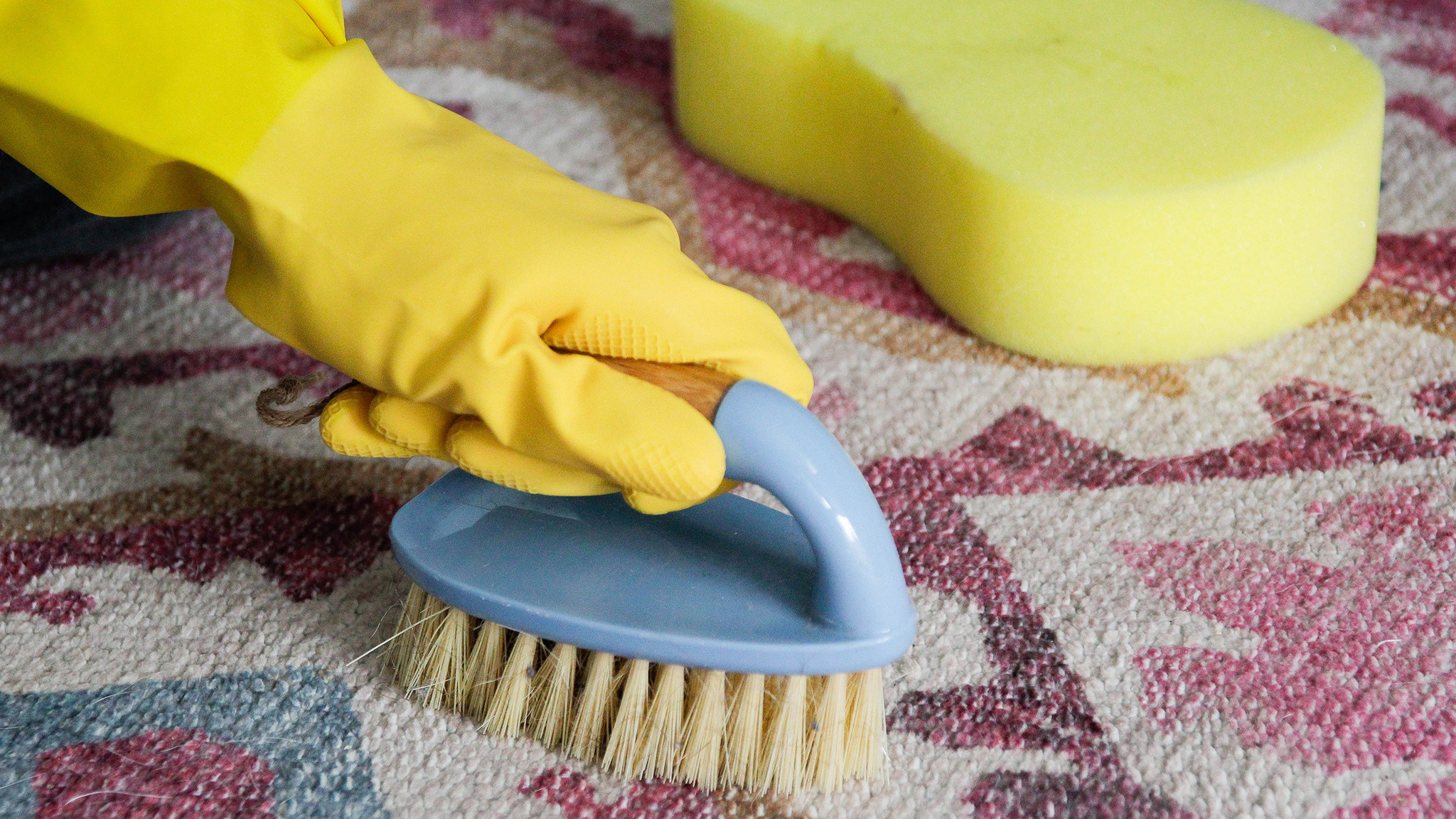 Spybot Registry-Cleaner: Spybot mit Tuning-Funktion für Windows ...