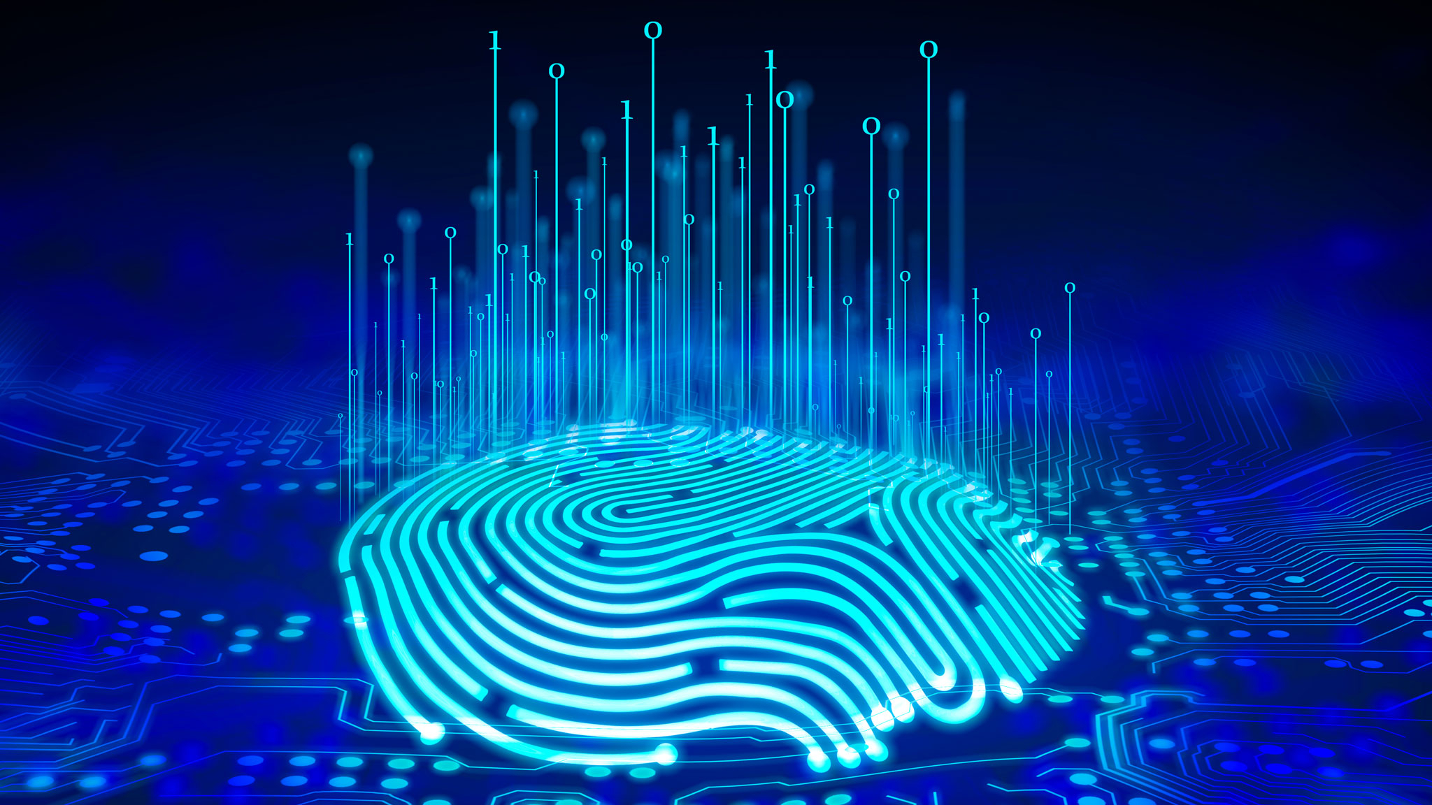 Microsoft File Checksum Integrity Verifier: Tool hasht Dateien ...