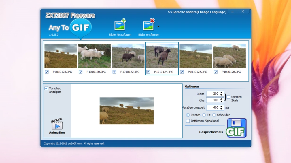 GIFs erstellen: So erzeugen Sie animierte GIF-Dateien - COMPUTER BILD