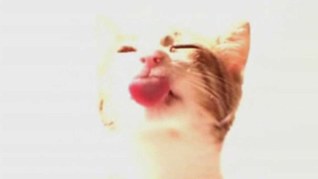 1. April: Scherzprogramme zum Download - COMPUTER BILD