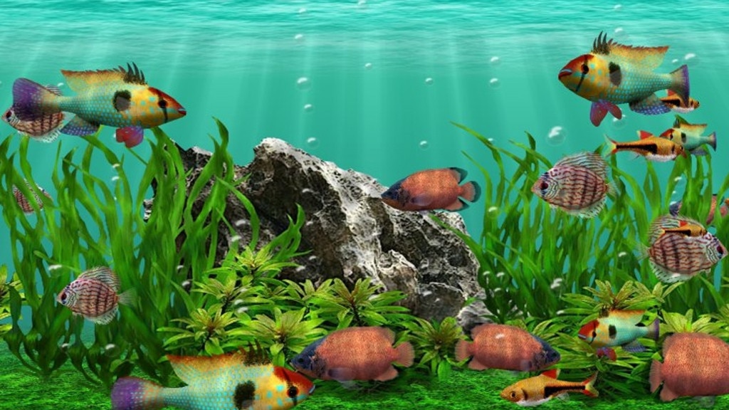 Die besten Google-Maps-Alternativen - COMPUTER BILD