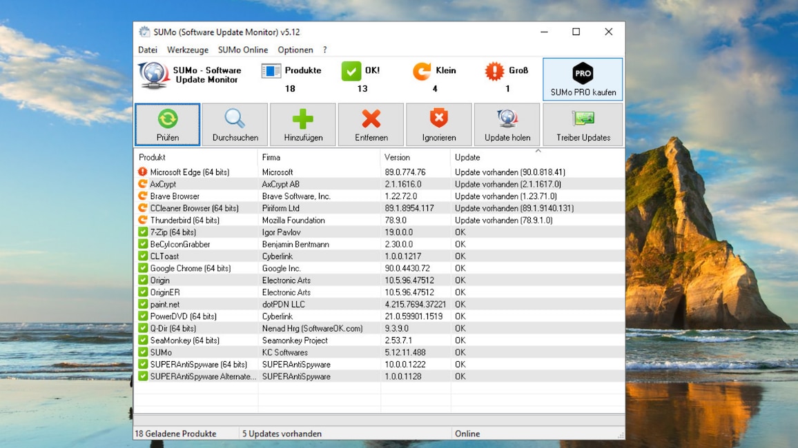 Anleitung und Tipps zum Free Download Manager - COMPUTER BILD