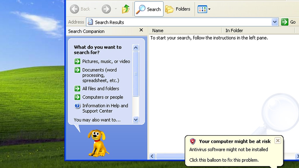 Grumpy Cat tot: Internet trauert um Meme-Katze! - COMPUTER BILD