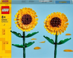 LEGO-Blumen im Test: Unsere Favoriten für Ihr Zuhause | BILD Kaufberater
